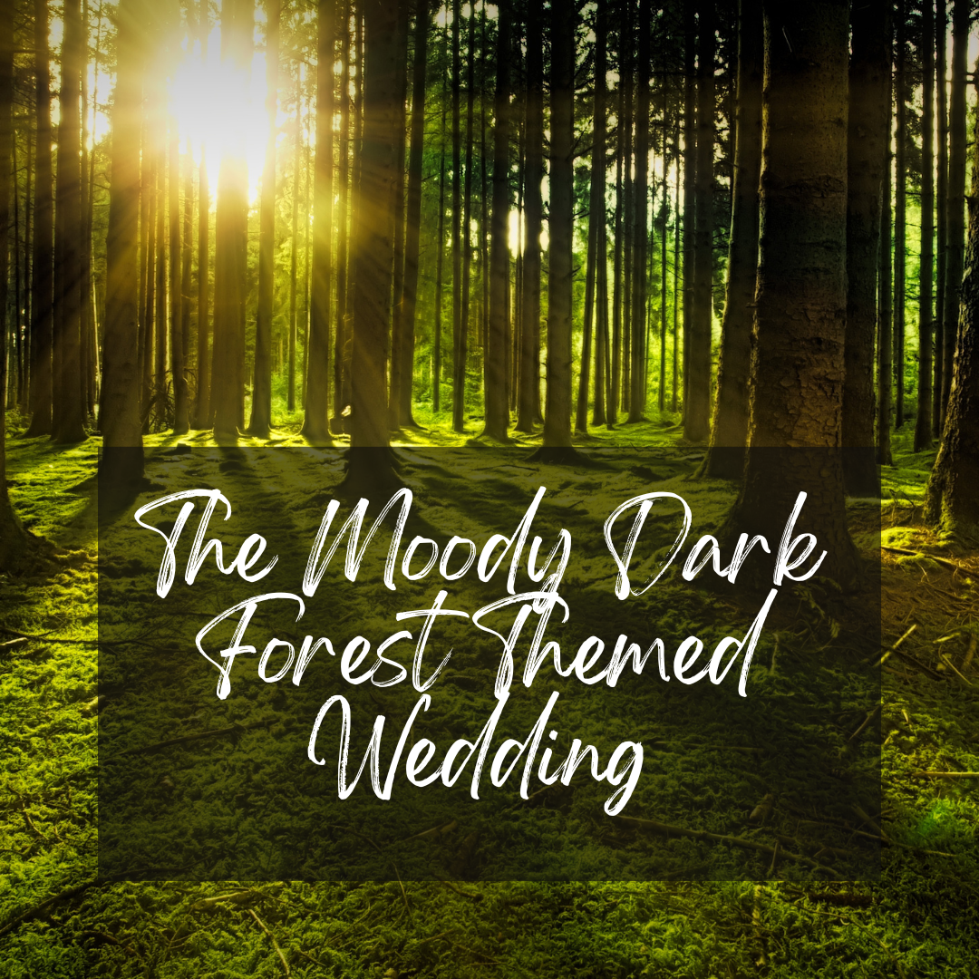 Dark Enchanted Forest Wedding 14 Forest Wedding Venues For A Stunning